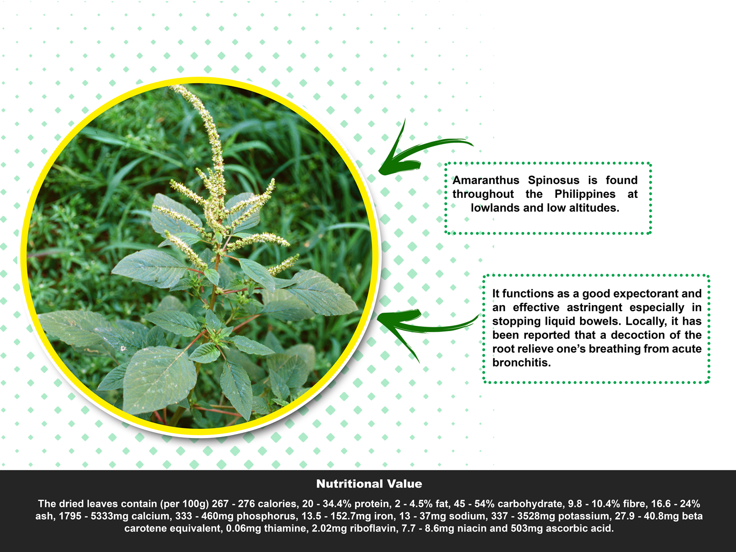 The Benefits of Uray